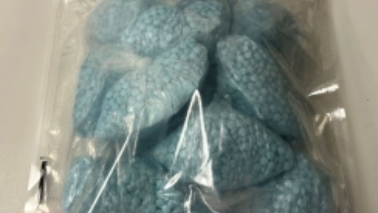 Decomisan en Seattle 100 mil pastillas de fentanilo y armas de fuego al ...