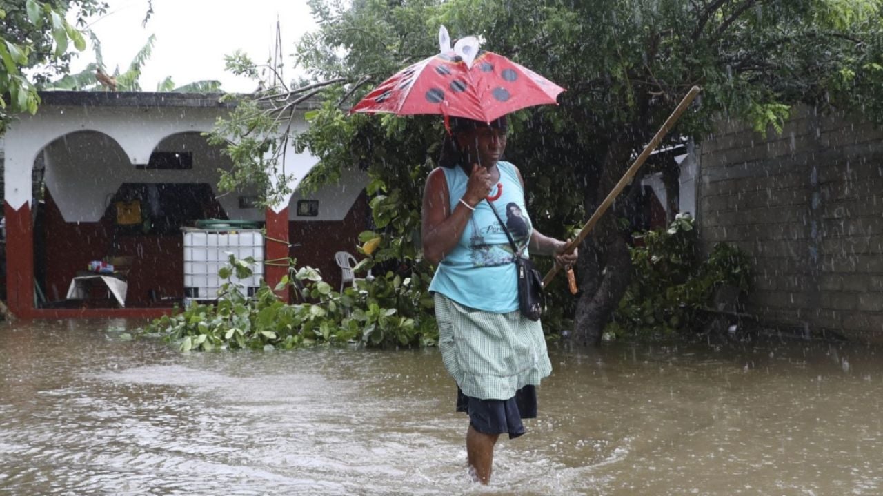 Se forma la tormenta tropical "Flossie" en el Pacífico; habrá lluvias ...