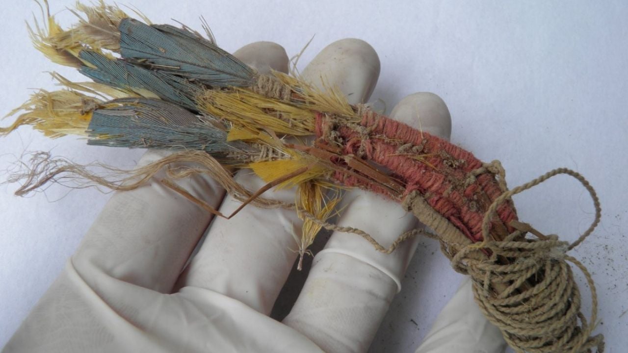 ADN de plumas antiguas de guacamayas revela una sofisticada red ...
