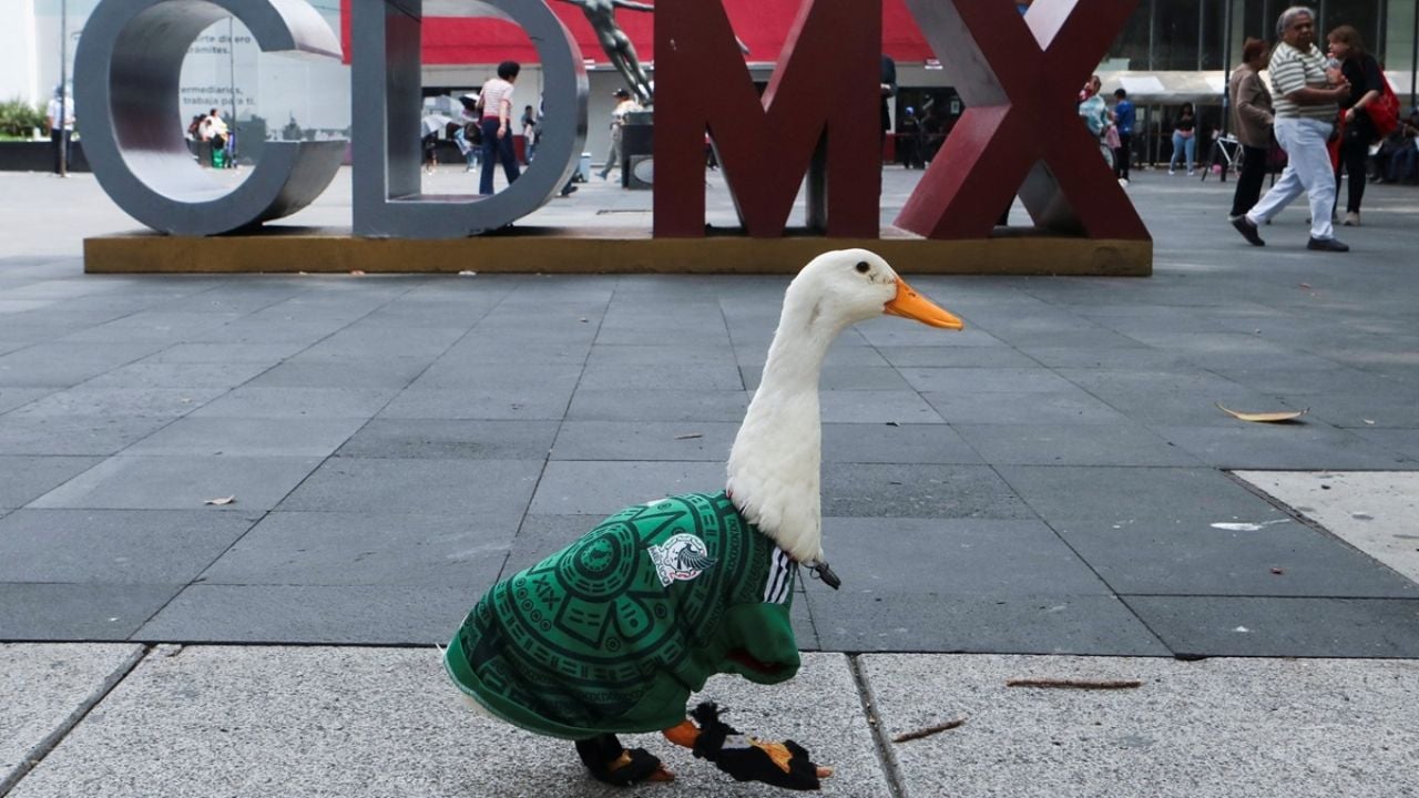 La FIFA nombra al pato Merlín como embajador oficial del Mundial 2026 ...