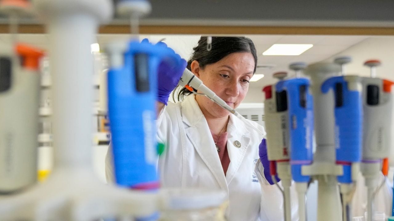 Ya hay herramientas prometedoras para combatir al hantavirus pese a ...